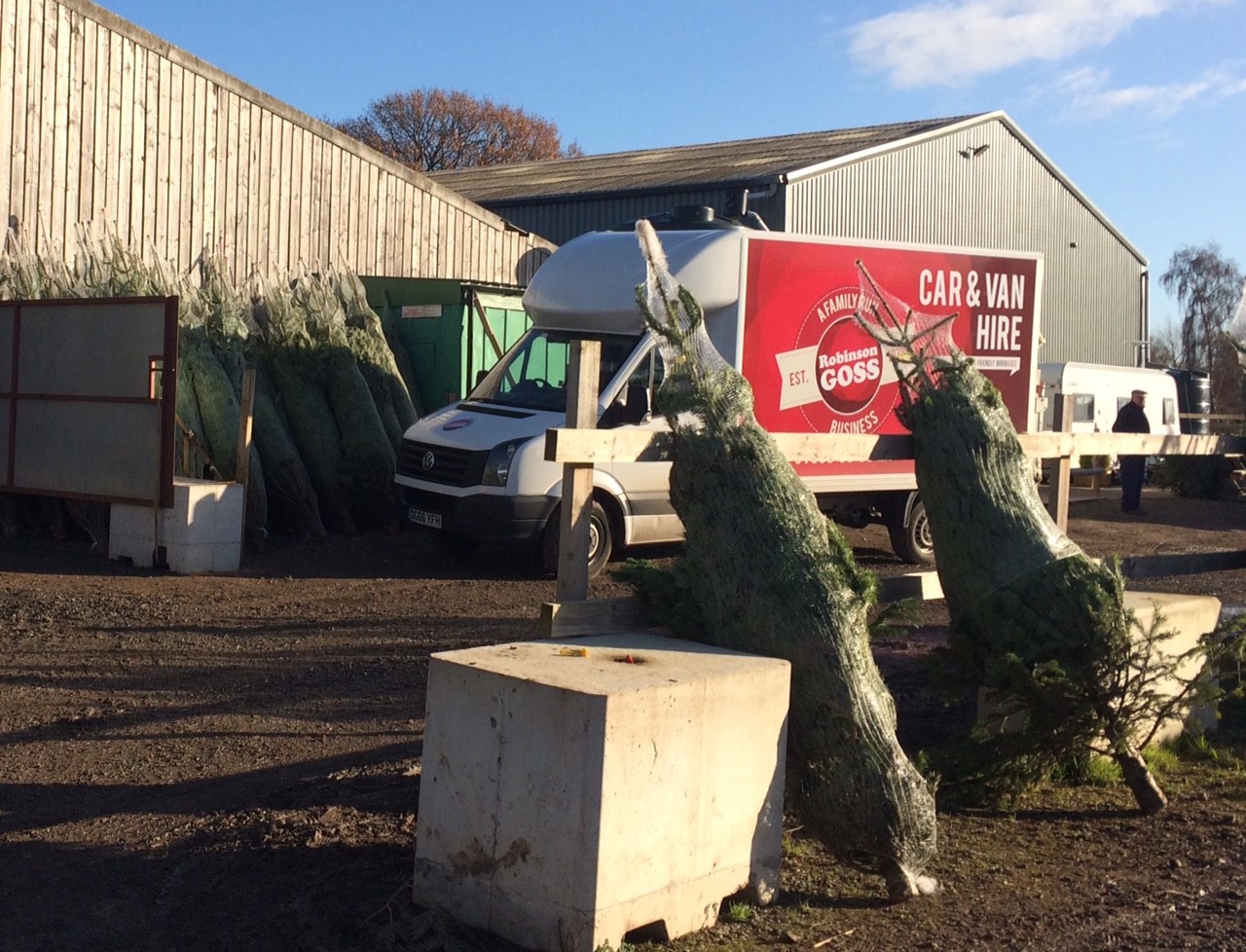 van & trees – Warwickshire Christmas Tree Farm