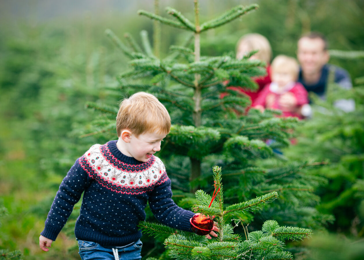 Schools & Charities – Warwickshire Christmas Tree Farm